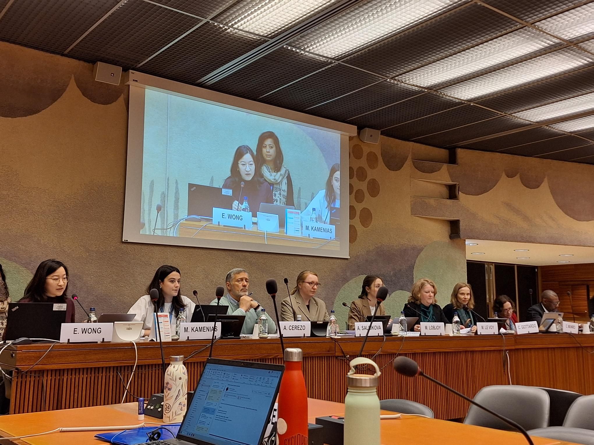 United Nations Economic Commission for Europe (UNECE) Regional Review ...